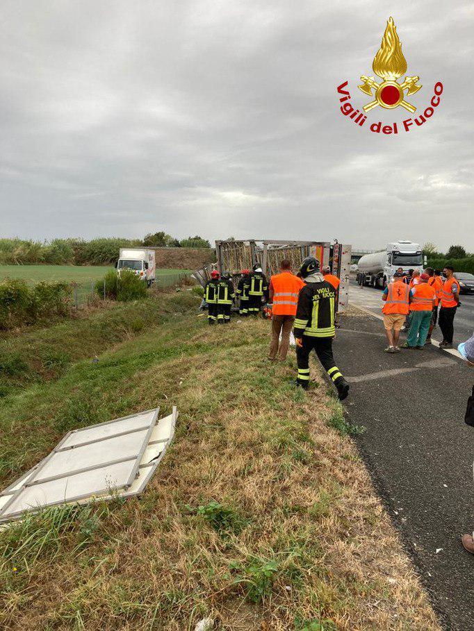 Scontro tra camion in A14: muoiono 2mila galline. Traffico in tilt Scontro tra camion in A14: muoiono 2mila galline. Traffico in tilt