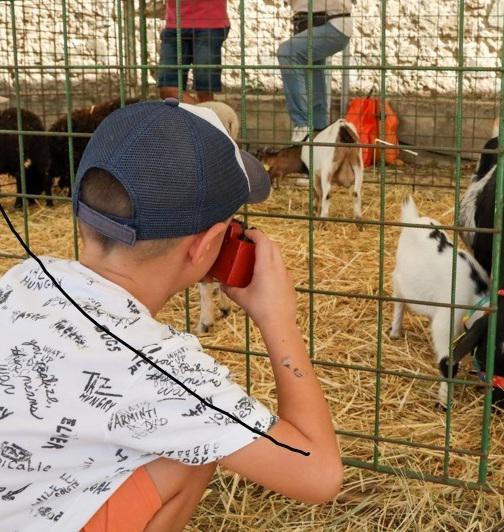 Stop al mercato degli animali Rabbia e petizione: Stop al mercato degli animali Rabbia e petizione:
