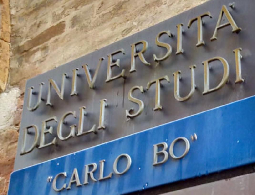 Università: Università: