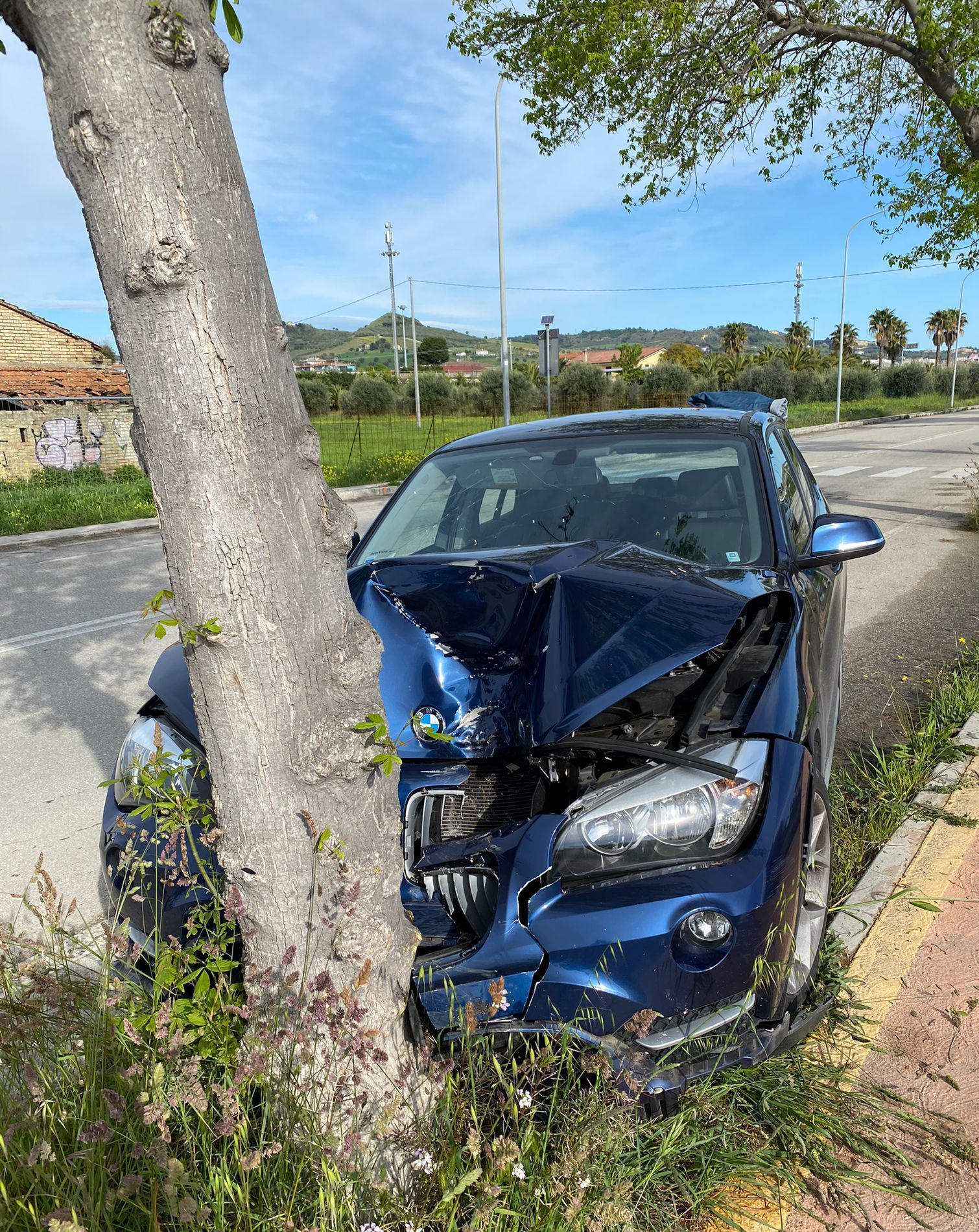 Si schianta contro un albero Si schianta contro un albero