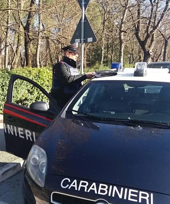 Finisce fuoristrada con l’auto: il ventenne alla guida era ubriaco Finisce fuoristrada con l’auto: il ventenne alla guida era ubriaco